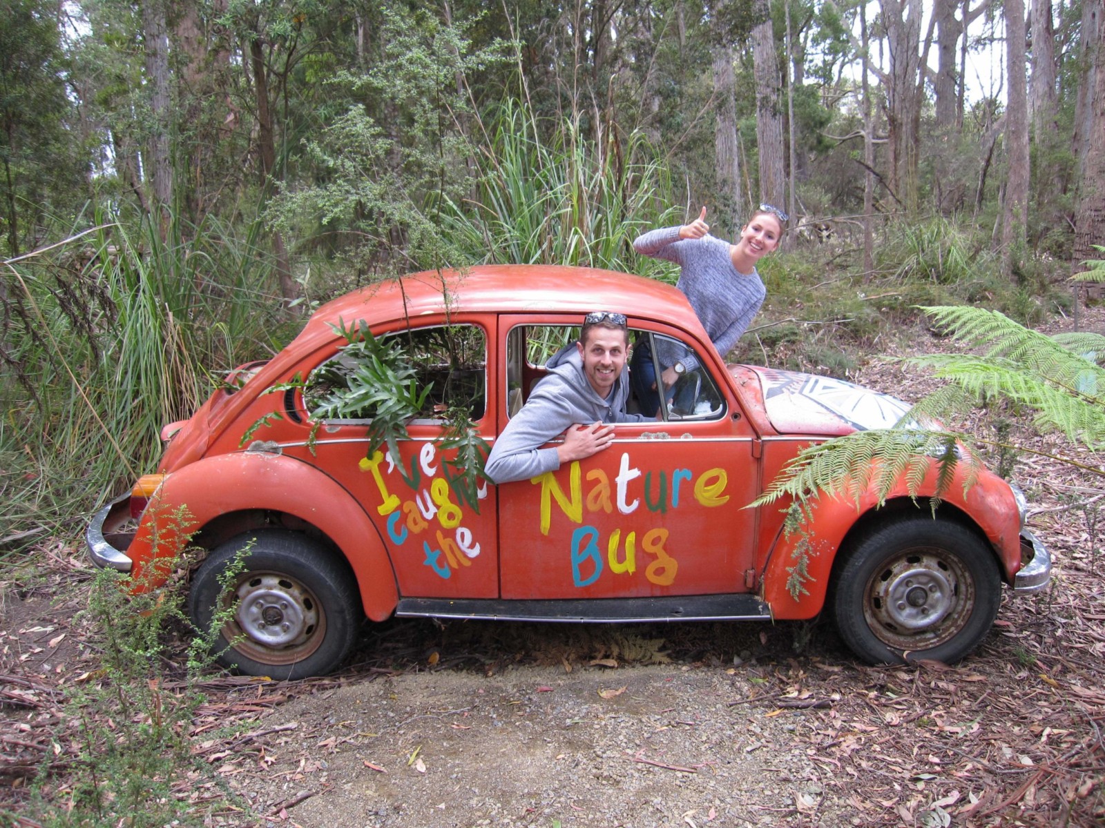 Tasmanian Devil Unzoo – The best unzoo in the world